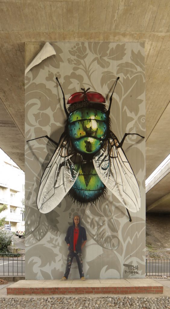 11 Mural Artists including Tech Moon create street art gallery